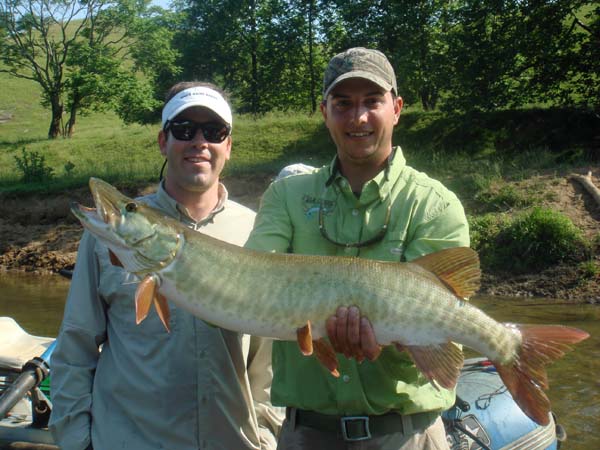 Musky Fishing - Elk Creek Outfitters - Guided Fly Fishing Trips Near Boone