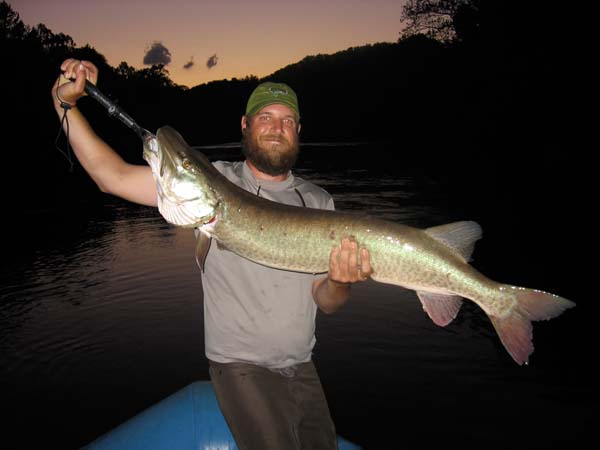 Musky Fishing - Elk Creek Outfitters - Guided Fly Fishing Trips Near Boone